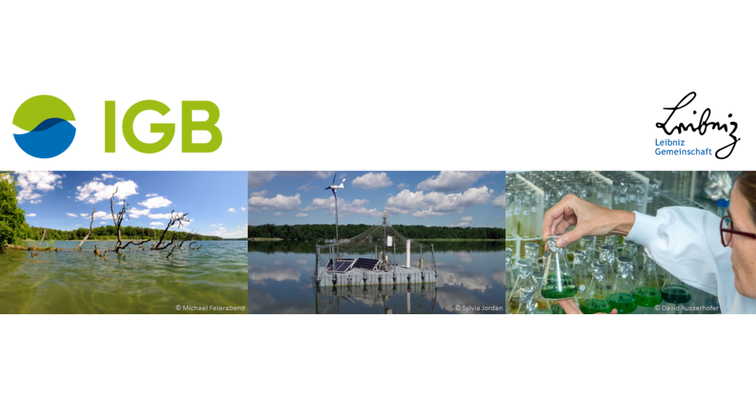 Career board | Leibniz-Institut für Gewässerökologie und ...